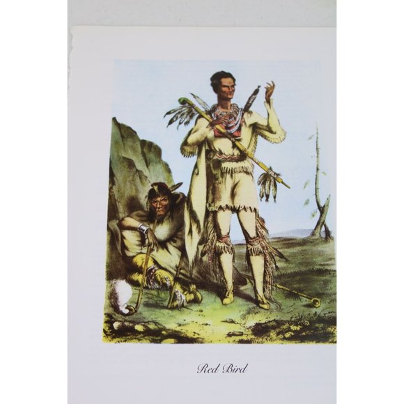 Art | Native American Indian Print Red Bird Winnebago Chief 9842 | Poshmark